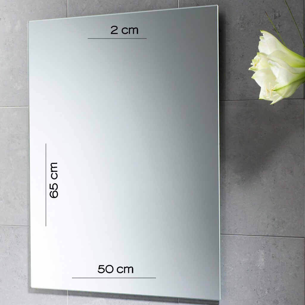 Dakota polished edge mirror 50x65cm colorless – Gedy